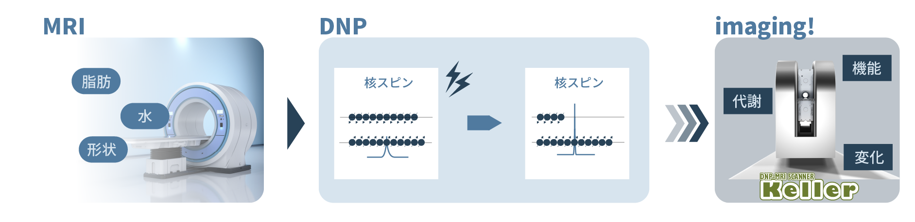 イントロダクション | Japan REDOX